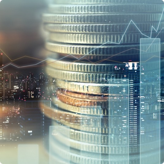 Home Skyhawk Security