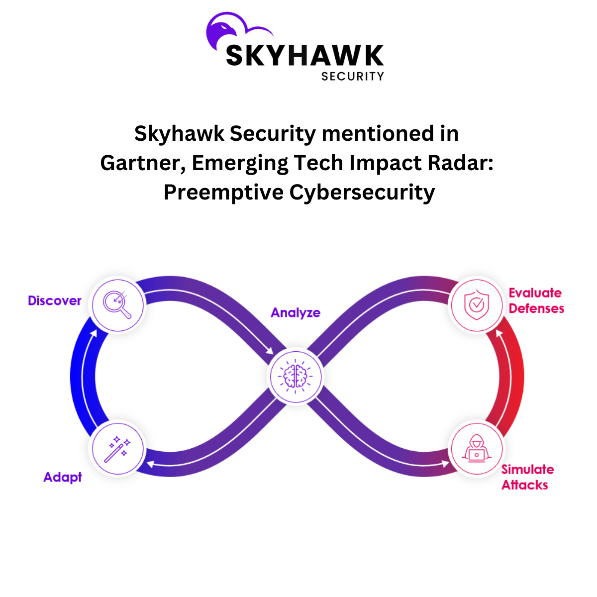Home - Skyhawk Security